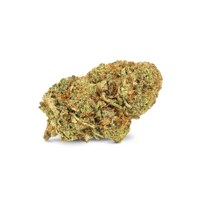 Pink Lemonade | Aeriz | Aeroponic Cannabis