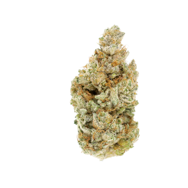 Lemon Tree | Aeriz | Aeroponic Cannabis