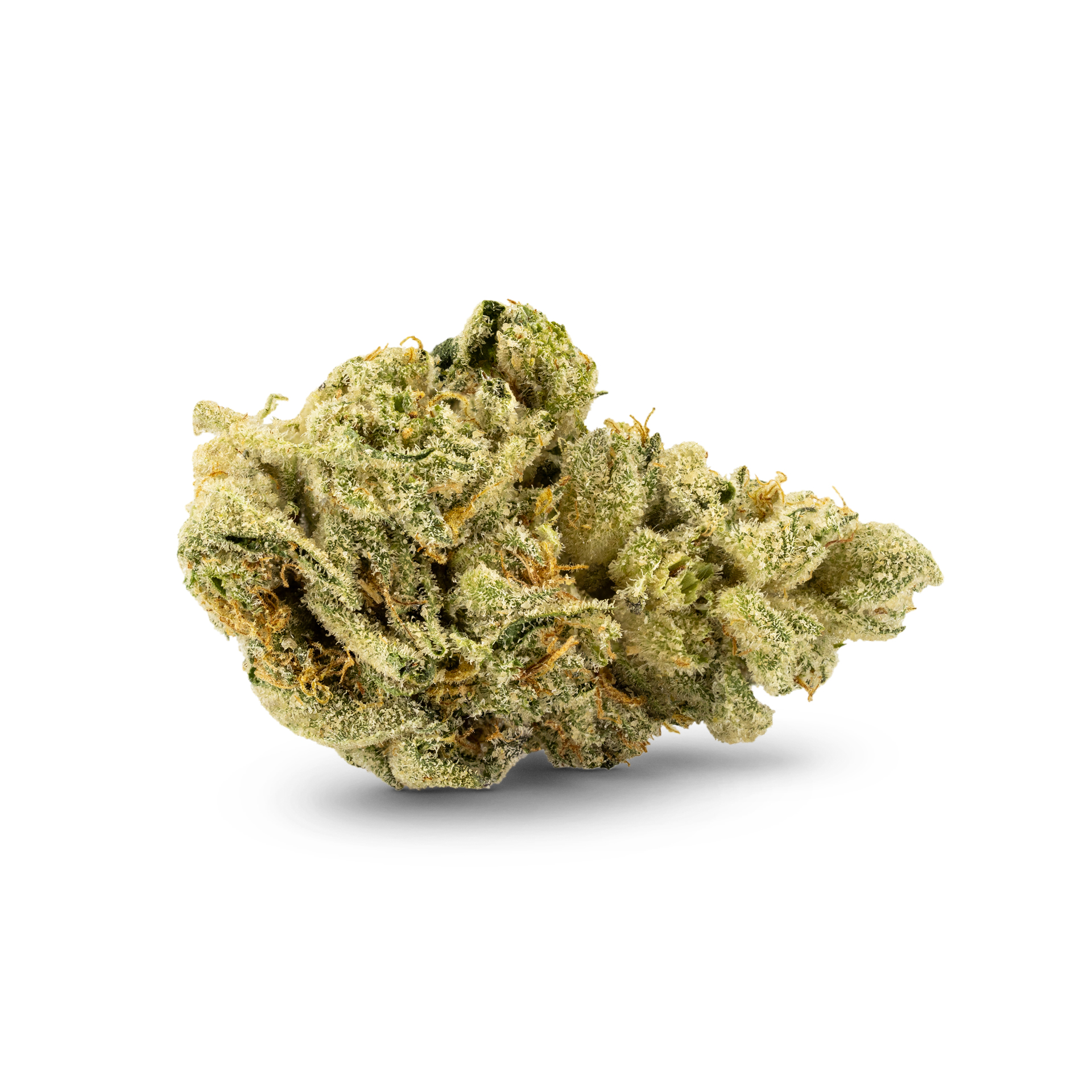 Jungle Juice | Aeriz | Aeroponic Cannabis